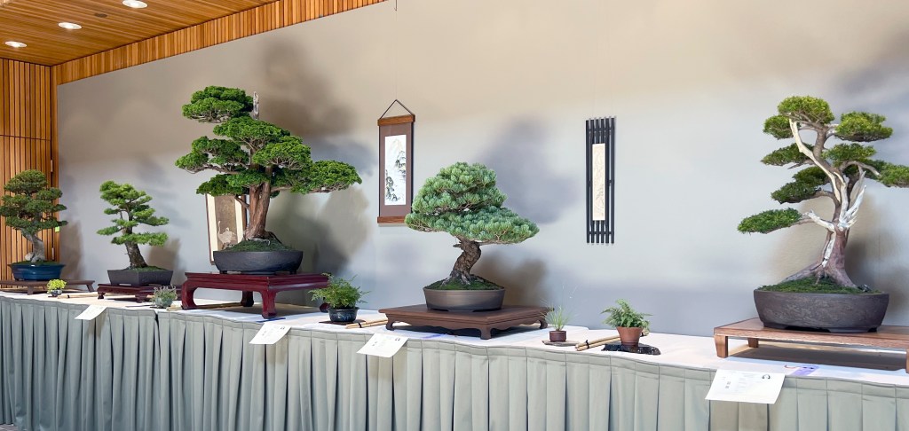 2022 44th Mid-America Bonsai Exhibition – Valavanis Bonsai Blog