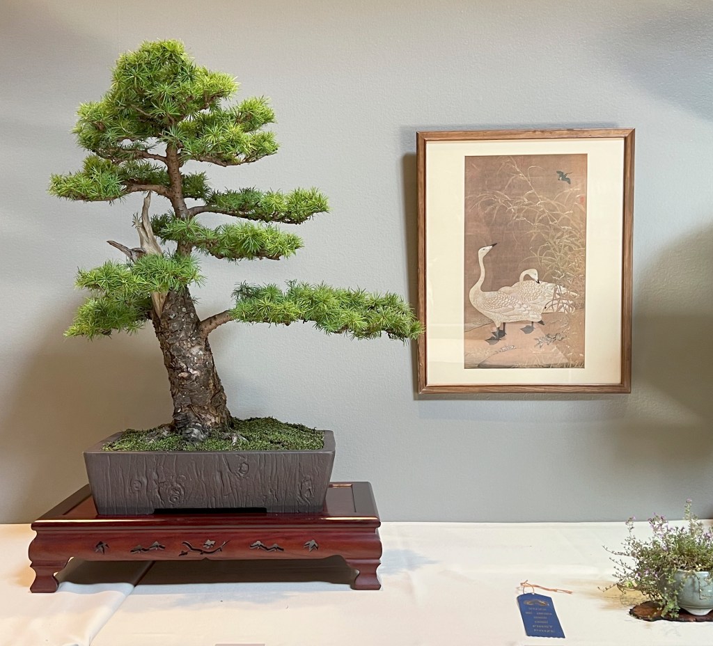 2022 44th Mid-America Bonsai Exhibition – Valavanis Bonsai Blog