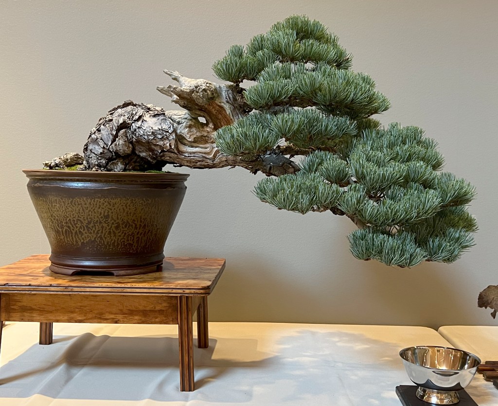 2022 44th Mid-America Bonsai Exhibition – Valavanis Bonsai Blog
