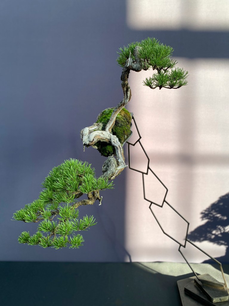 Pacific Bonsai Expo- Part 4 – Valavanis Bonsai Blog
