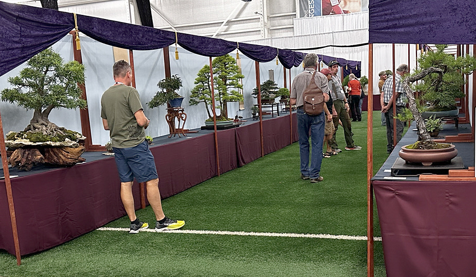 2023 8th US National Bonsai Exhibition – Valavanis Bonsai Blog