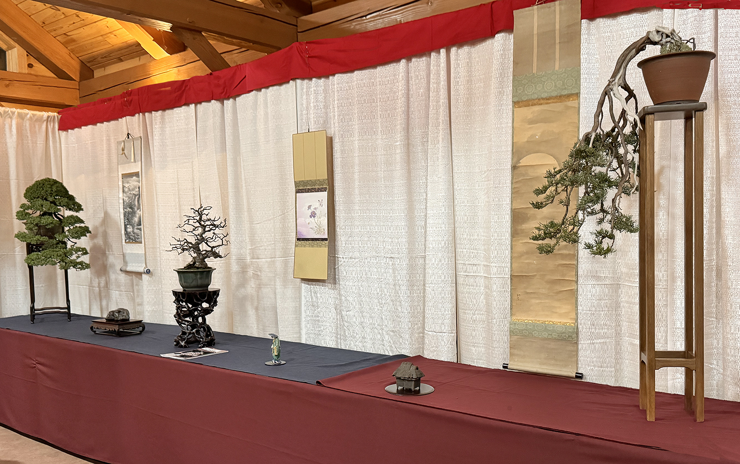 All About Cascade Style Bonsai – Valavanis Bonsai Blog