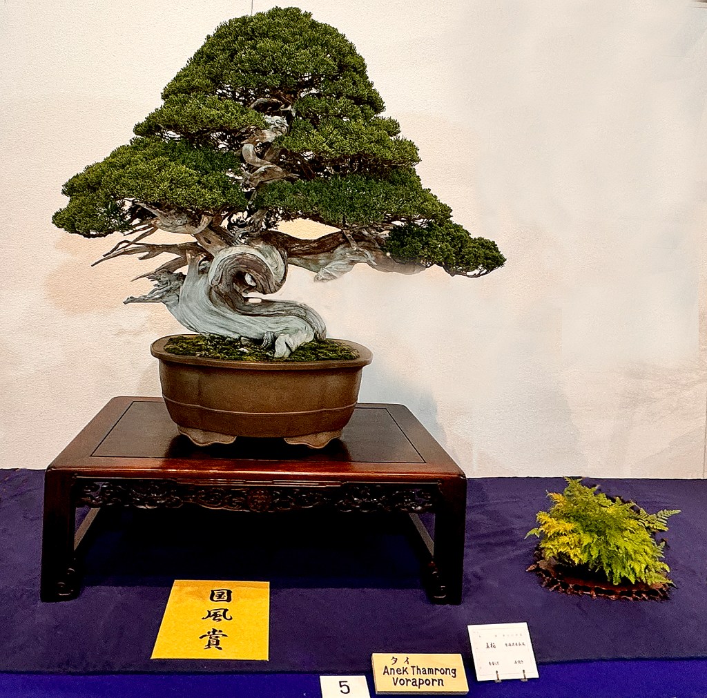 2024 98th Kokufu Bonsai Exhibition– Part 1 – Valavanis Bonsai Blog