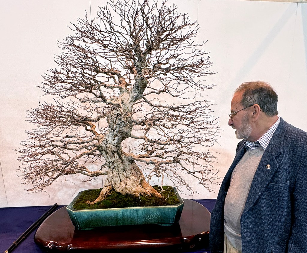 2024 98th Kokufu Bonsai Exhibition– Part 1 – Valavanis Bonsai Blog