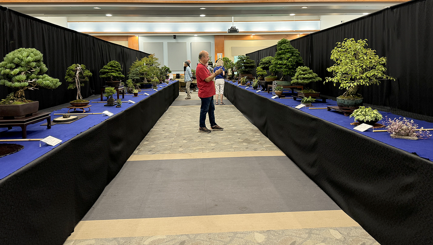 New Jersey Bonsai Societies Exhibition A Great Success! – Valavanis ...