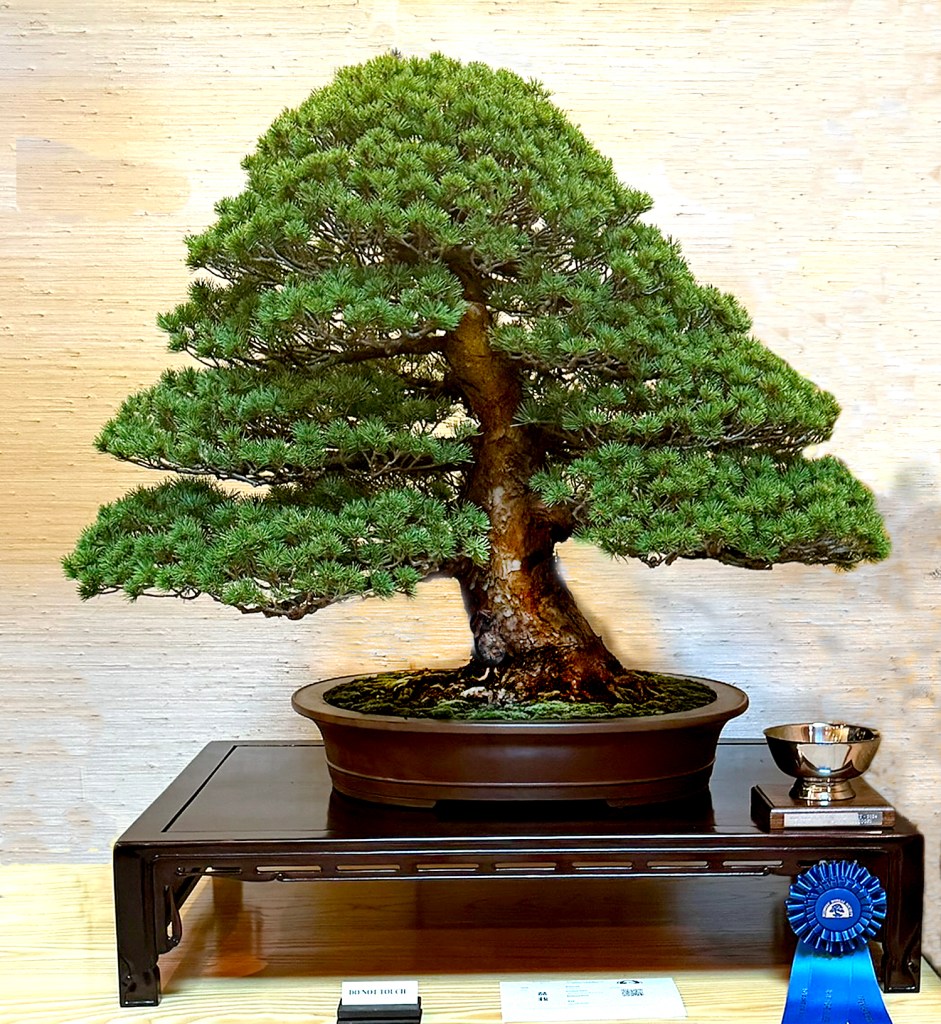 The 2024 46th Mid-America Bonsai Exhibition – Valavanis Bonsai Blog