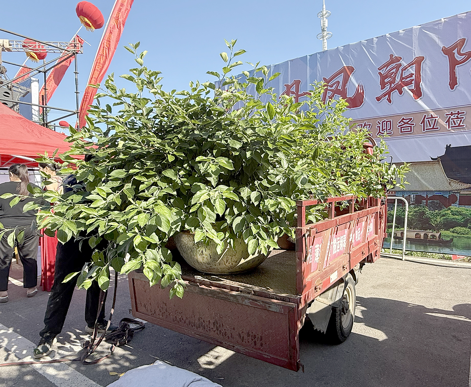 BCI Regional Penjing & Stone Convention in China– Part 2 – Valavanis ...