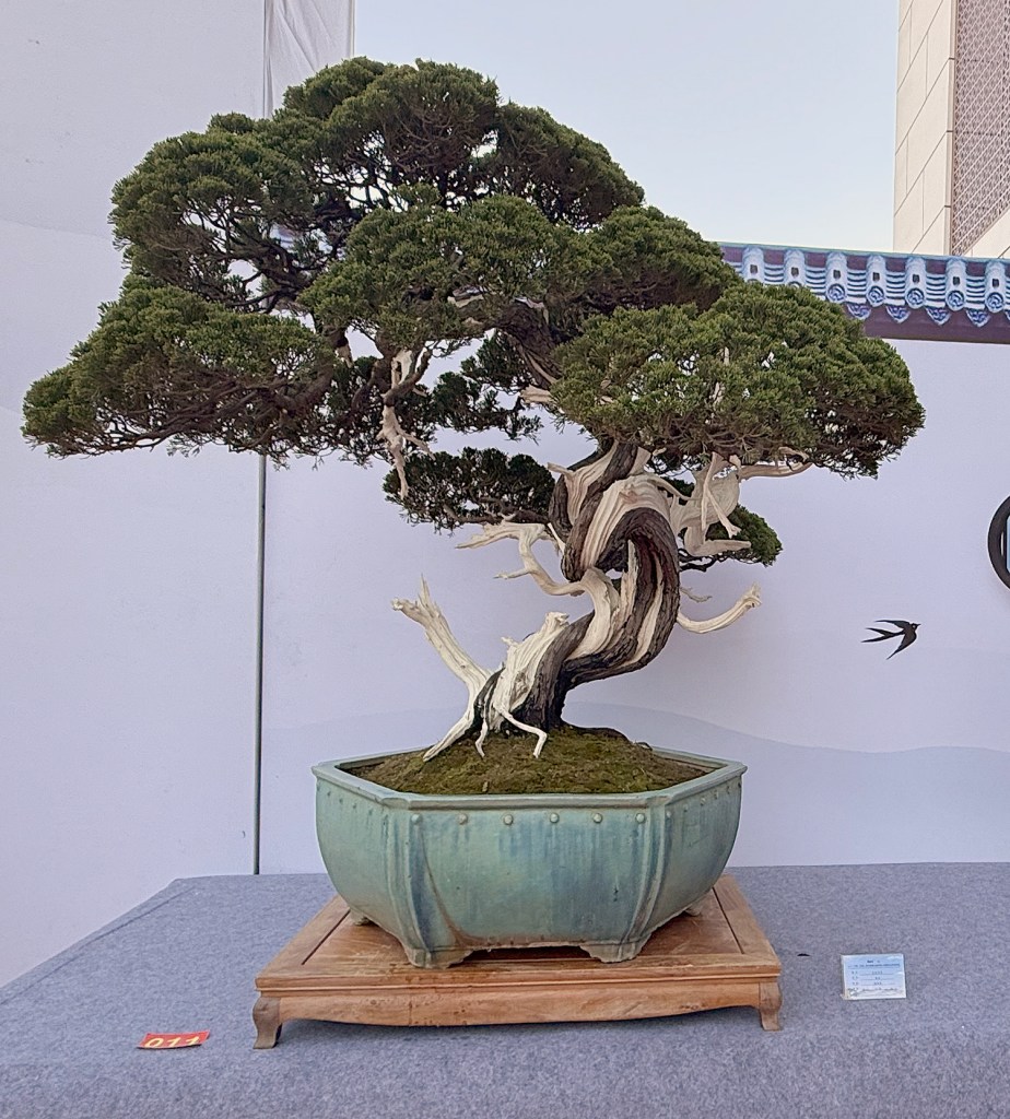 BCI Regional Penjing & Stone Convention in China – Valavanis Bonsai Blog