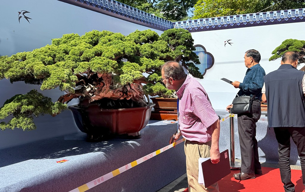 BCI Regional Penjing & Stone Convention in China – Valavanis Bonsai Blog