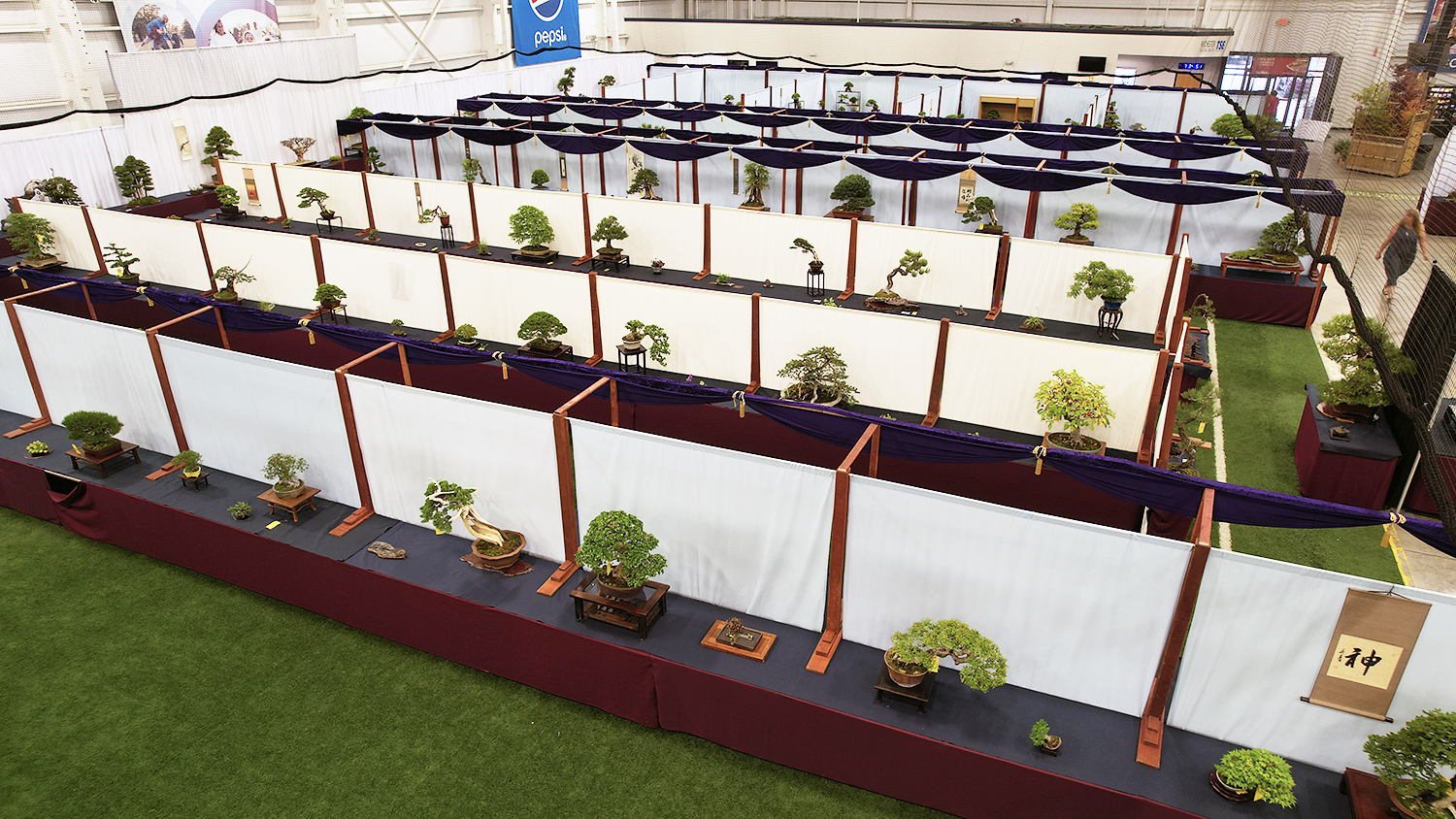 2025 9th US National Bonsai Exhibition A Great Success!! – Valavanis ...