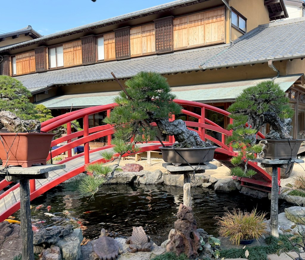 Explore Kyoto's Bonsai Wonders at the Nippon Exhibition