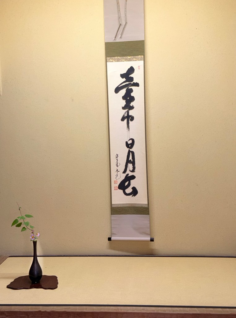 Explore Kyoto's Bonsai Wonders at the Nippon Exhibition