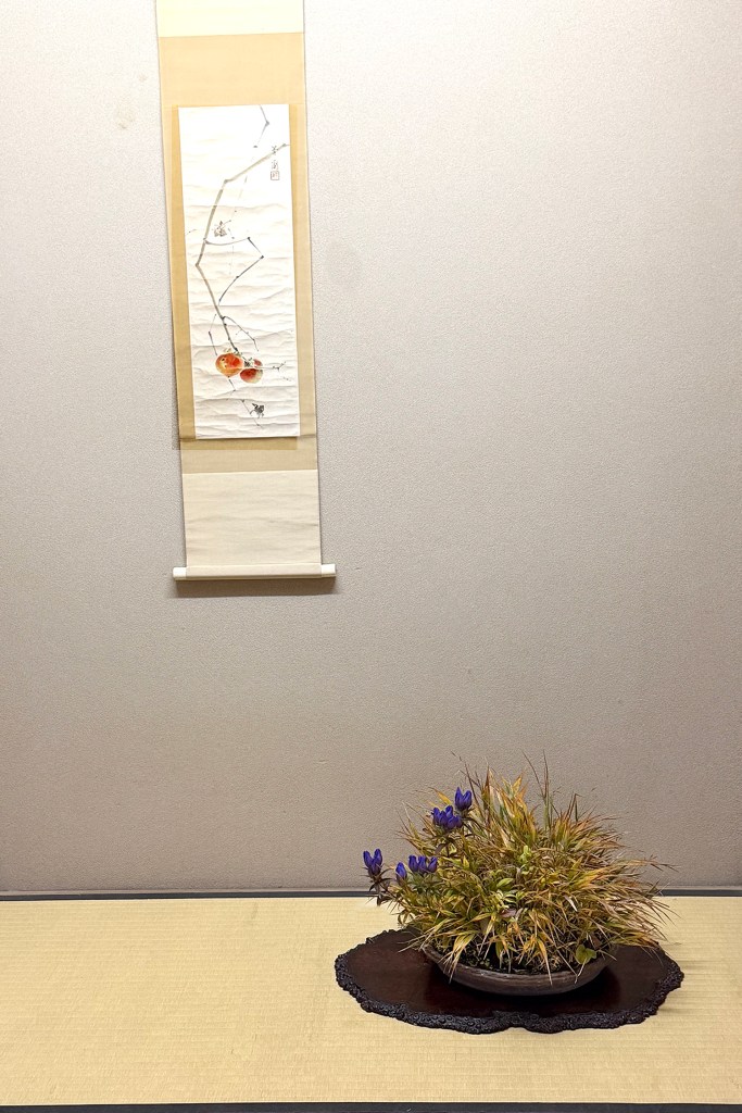 Explore Kyoto's Bonsai Wonders at the Nippon Exhibition