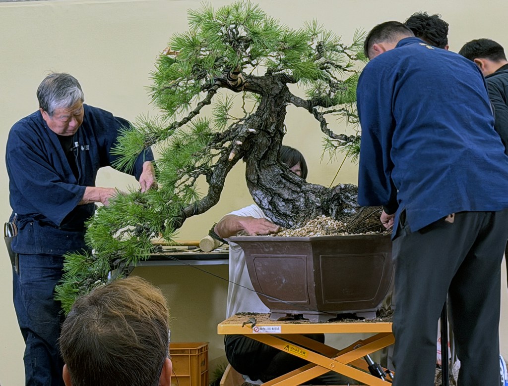 Bonsai Masterclass: Techniques from Kunio Kobayashi
